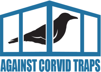 Against Corvid Traps - Against Corvid Traps